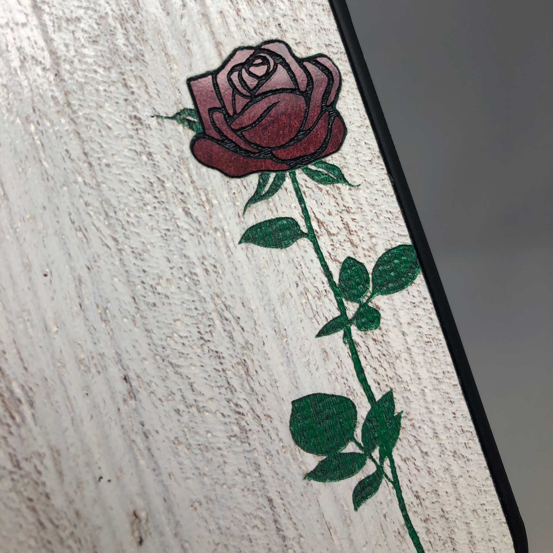 Special Edition – Alto Collective